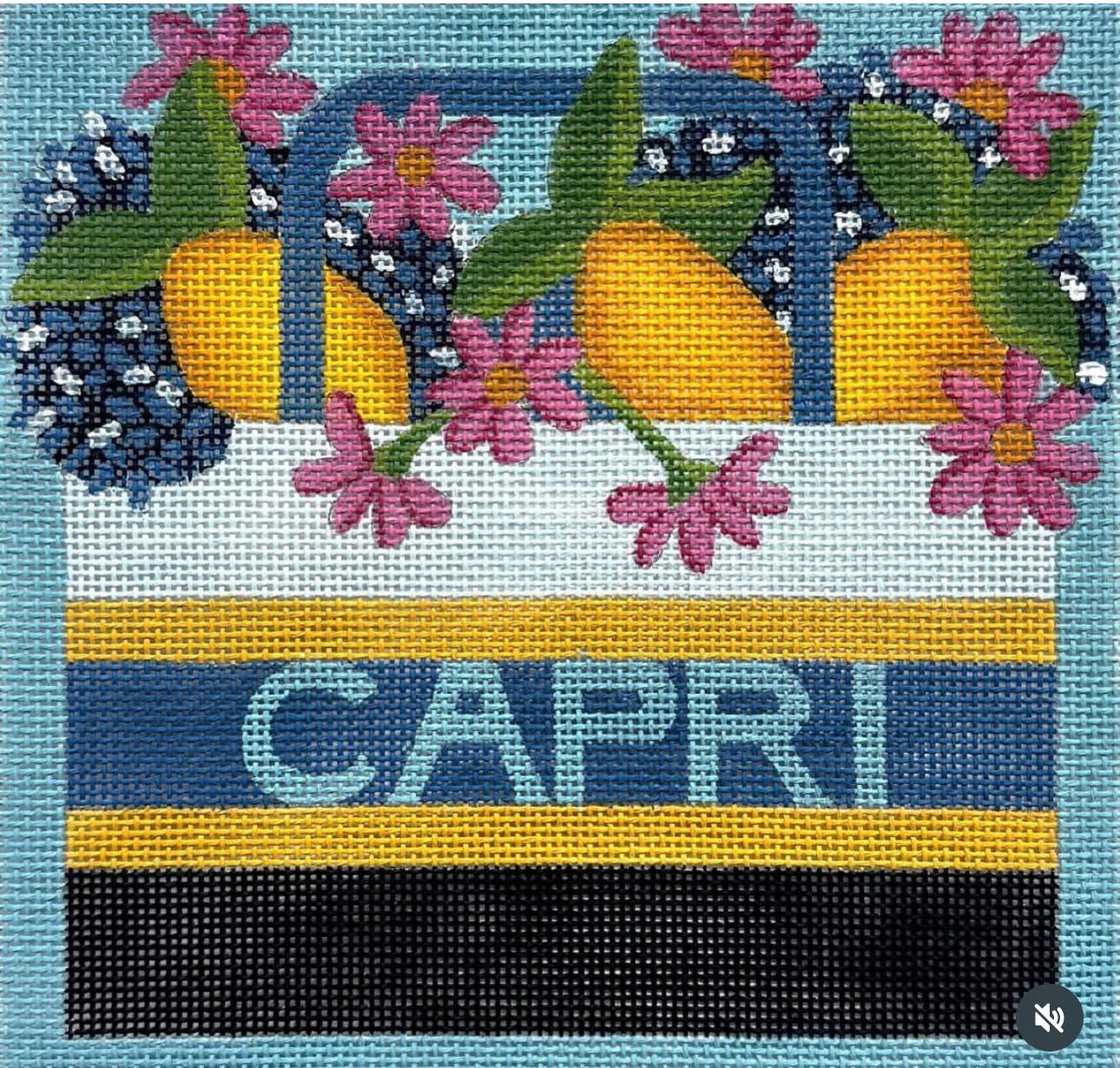 Alice Peterson AP4879 Capri Tote – Stitch by Stitch