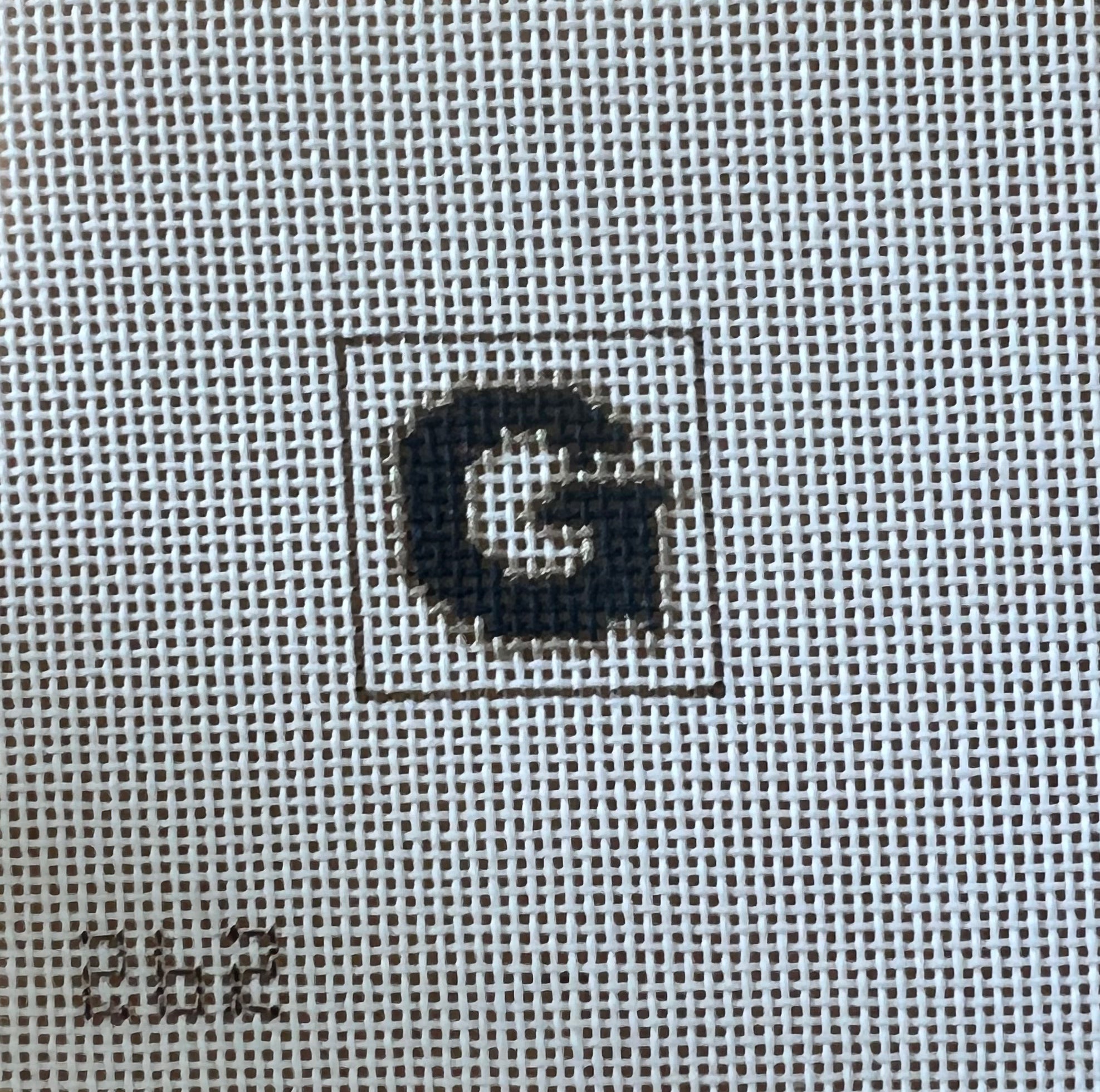 Blue Water Designs 262 Georgetown – Stitch by Stitch