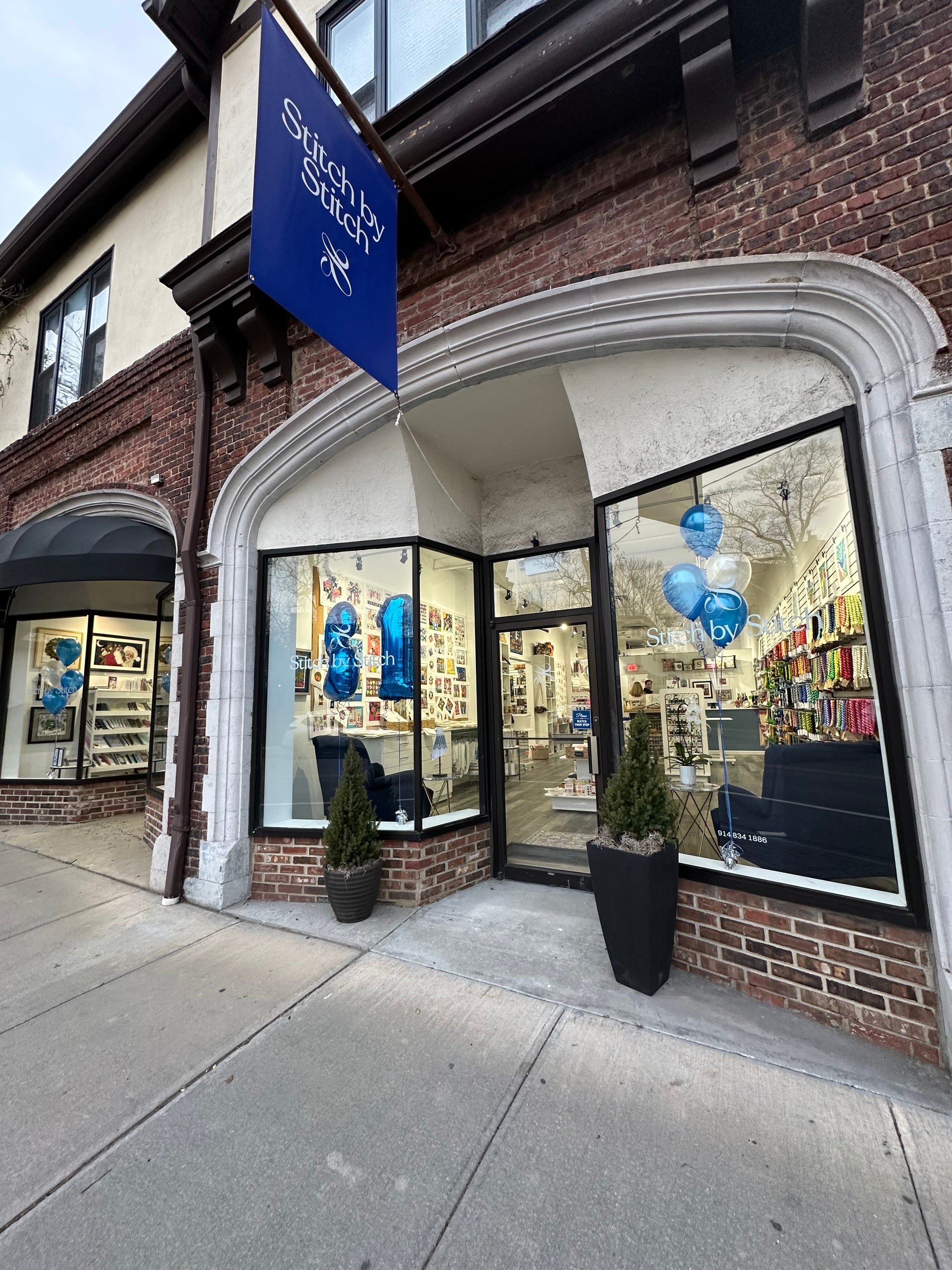 Blue Water Designs Frogs – Stitch by Stitch