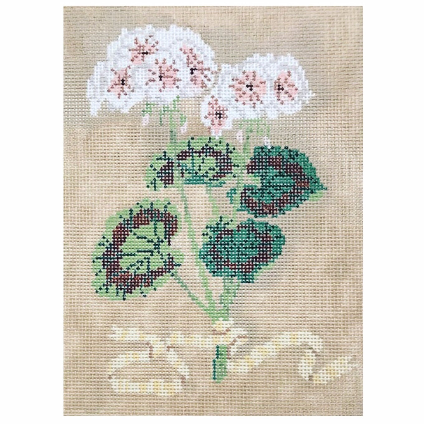 Plum Stitchery IS-7 Geraniums – Stitch by Stitch