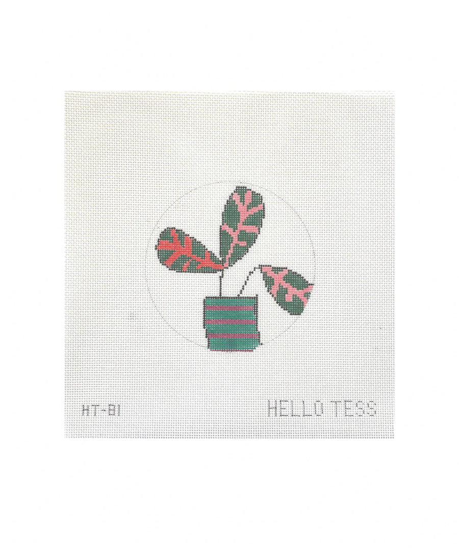 Hello Tess HT81 Prayer Plant – Stitch by Stitch