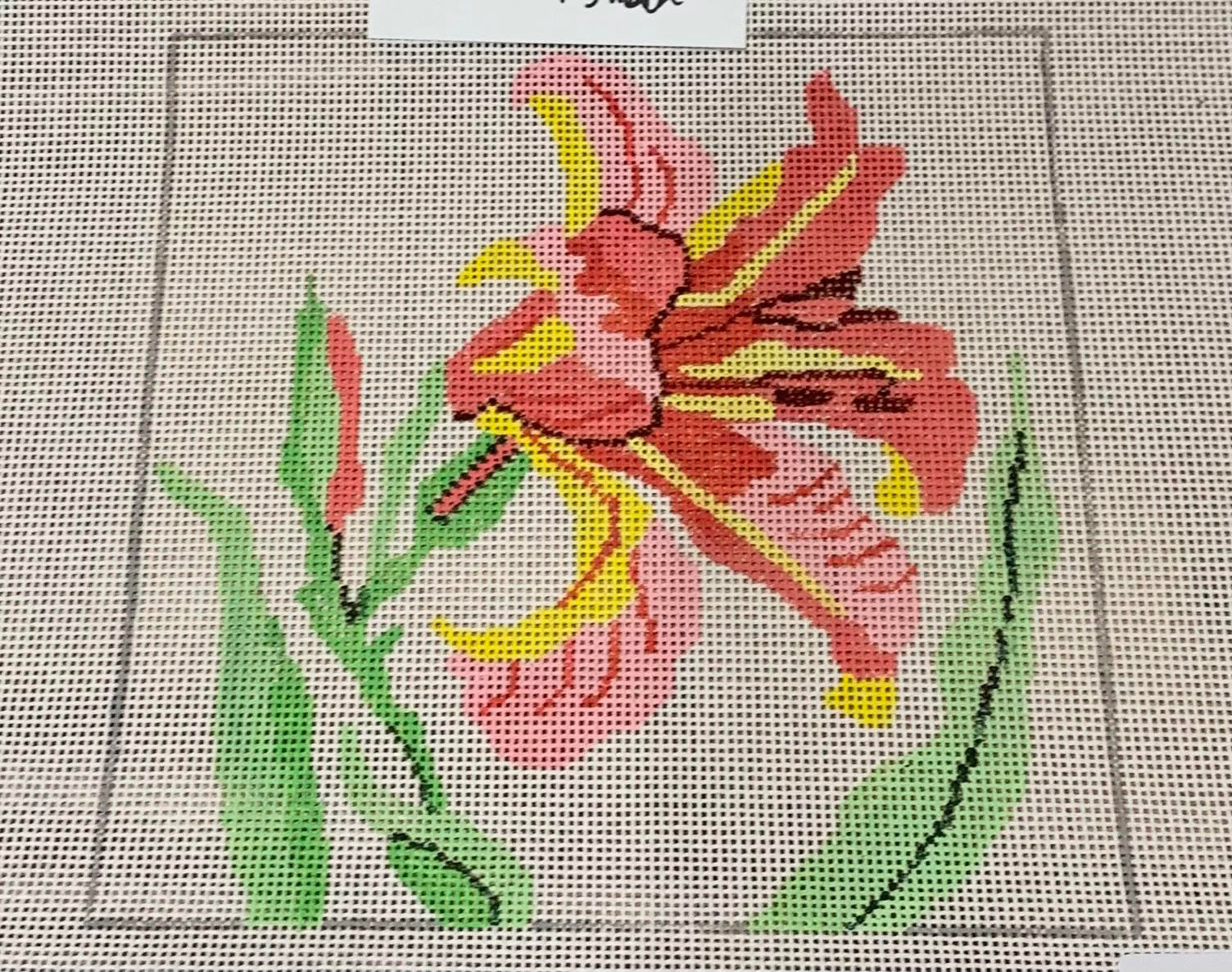 Jean Smith 197D Coral Lily – Stitch by Stitch